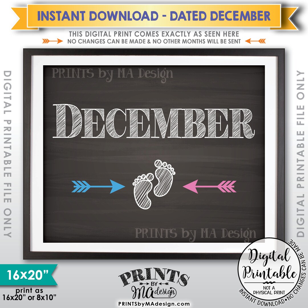 December Pregnancy Announcement Sign, Subtle Due Date Month, Expecting ...