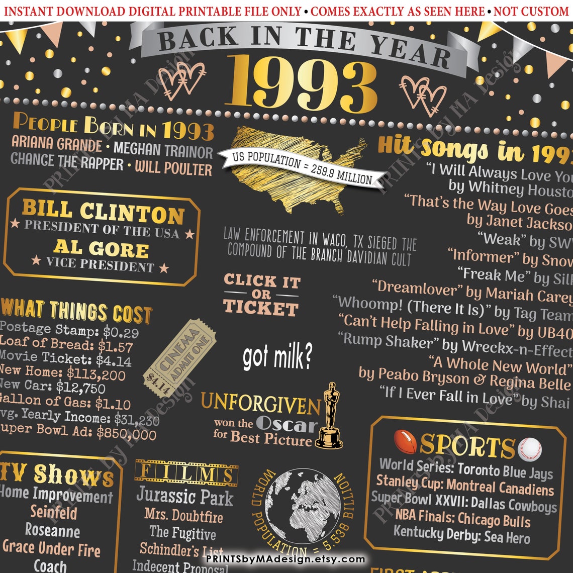 Back in the Year 1993 Anniversary Sign Flashback to 1993 - Etsy