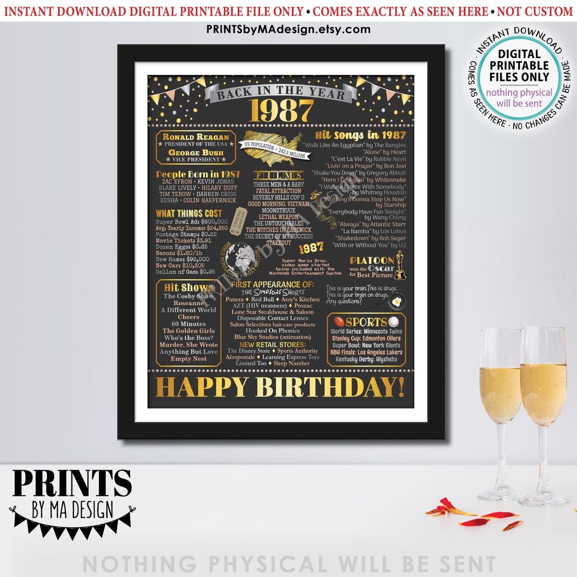 Back in the Year 1987 Birthday Sign Flashback to 1987 Poster | Etsy