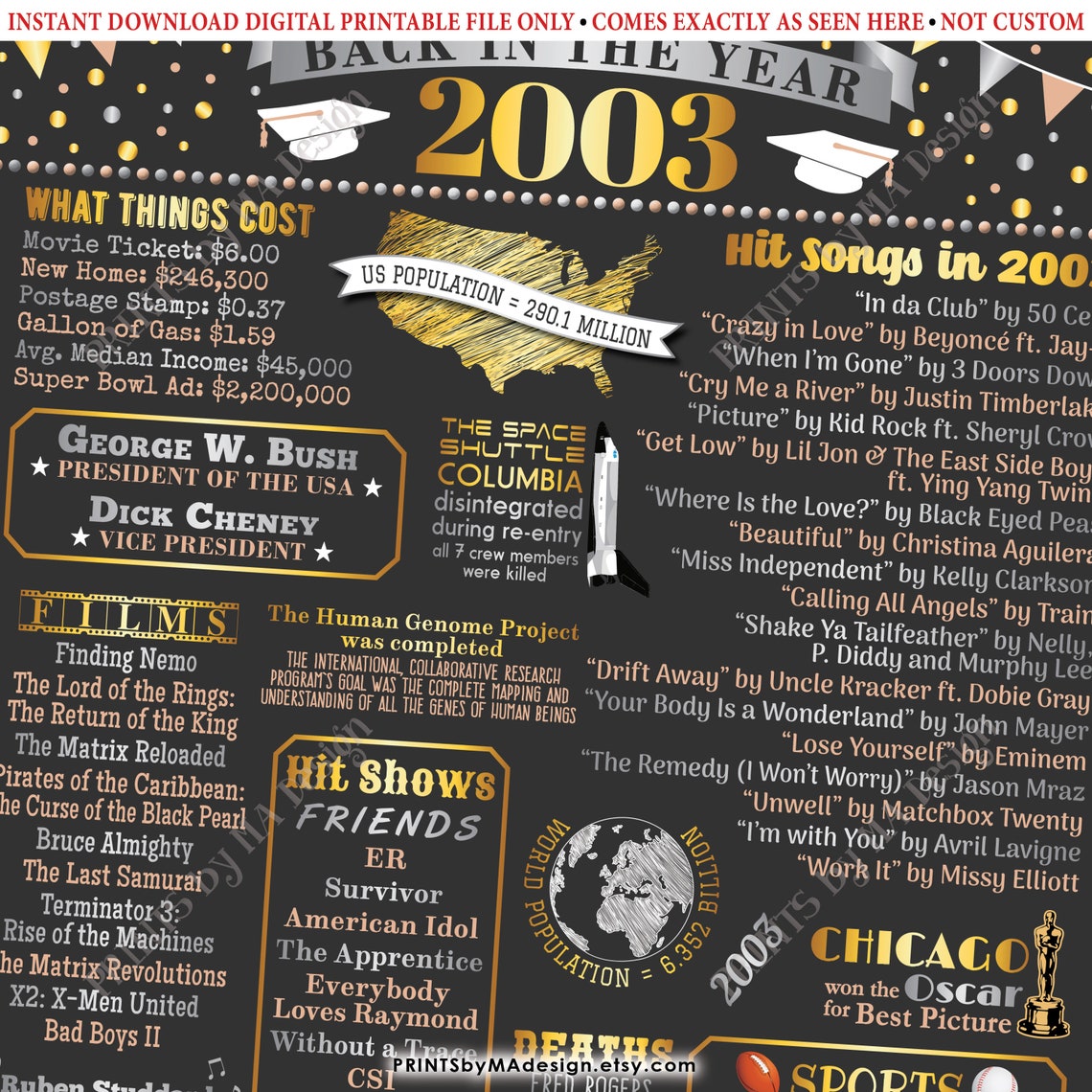 Class of 2003 Reunion Decoration, Back in the Year 2003 Poster Board ...