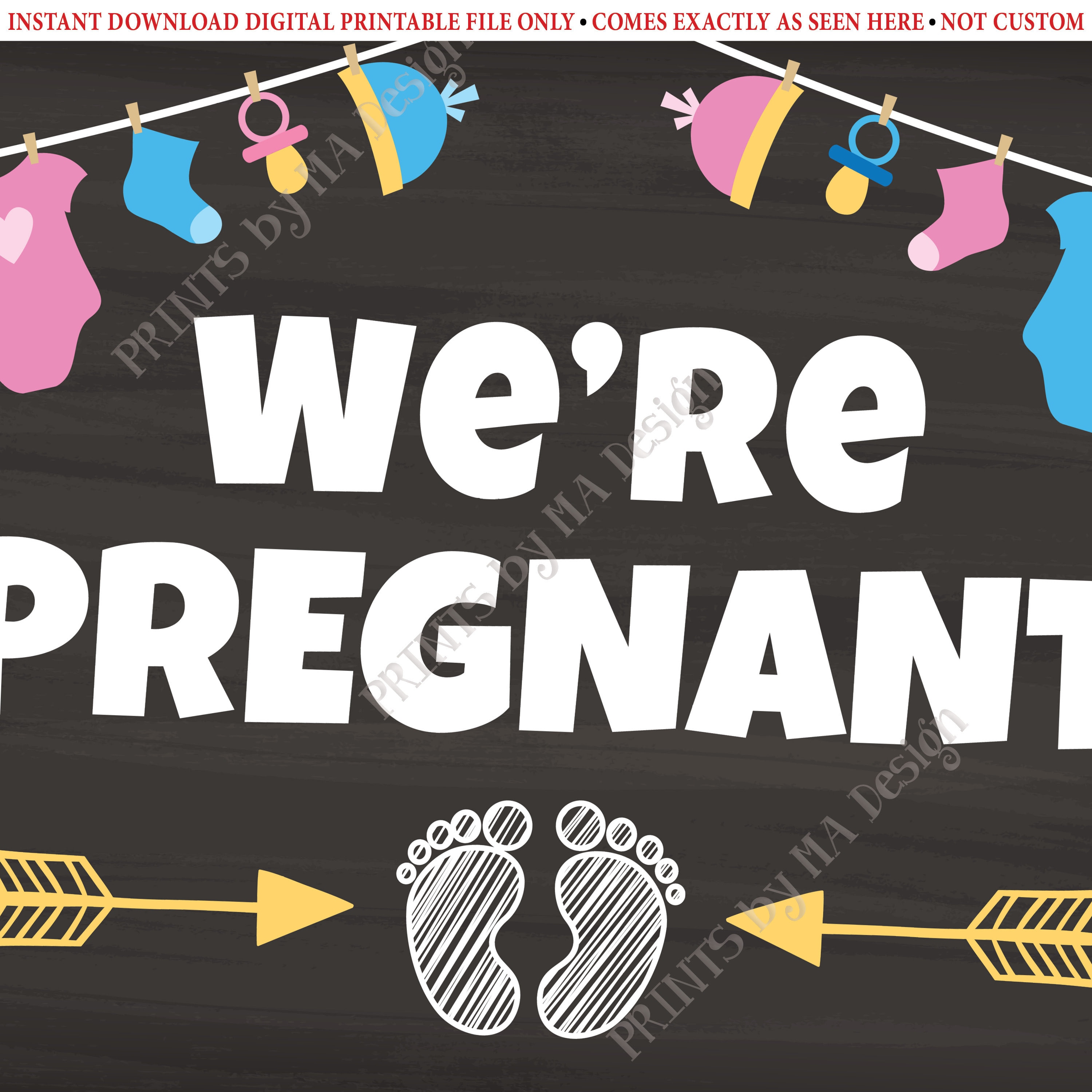 Were Pregnant Sign Pregnancy Announcement Photo Prop Pink And Blue