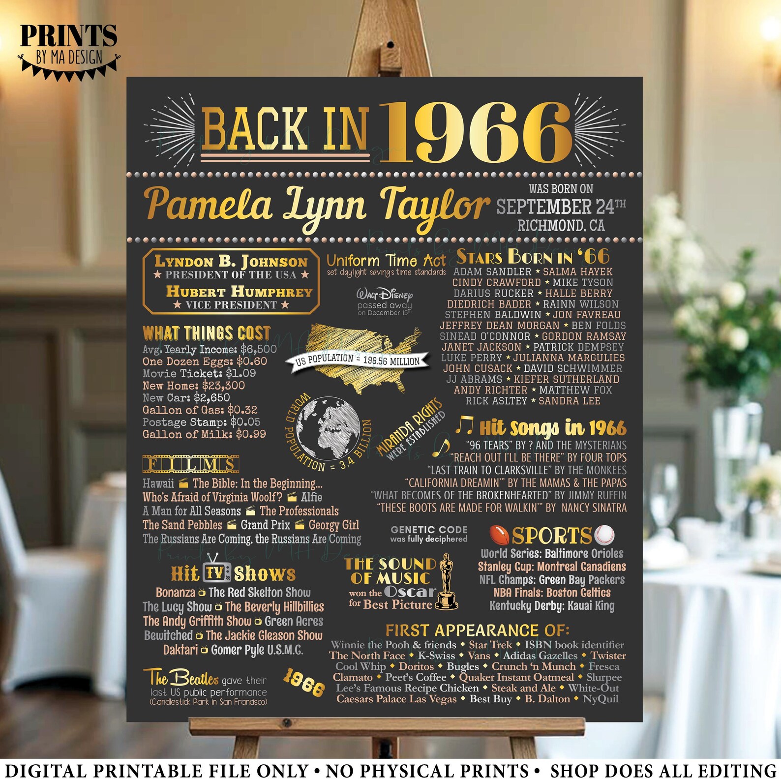 Back in the Year 1966 Birthday Sign, Flashback to 1966 Poster Board ...