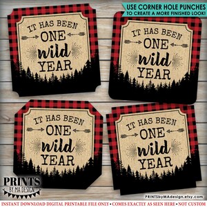 It Has Been One Wild Year Lumberjack First Birthday Party Decor, Red ...