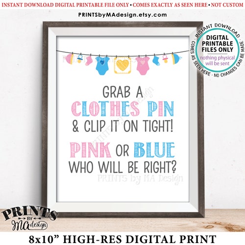 Gender Reveal Party Sign Clothes Pin Pink or Blue Sign Grab | Etsy