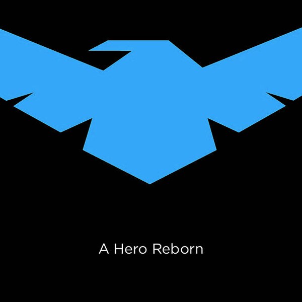 Nightwing Art Poster - Etsy