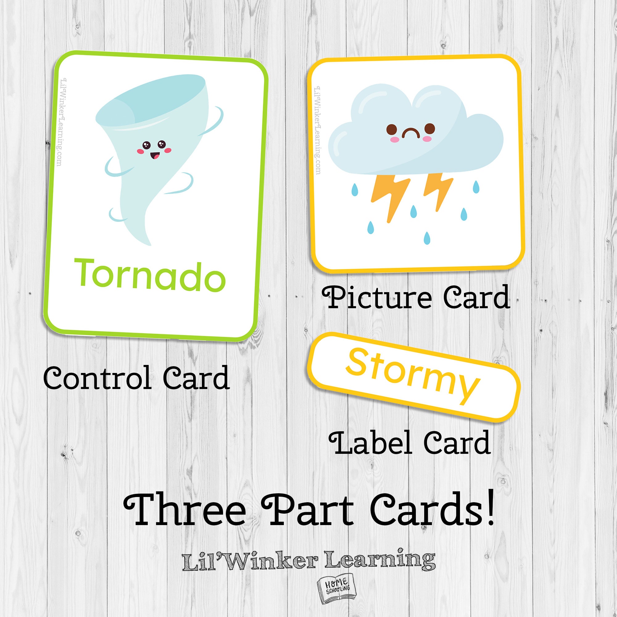 Montessori Weather Flashcards 3 Part Weather Cards Printable - Etsy
