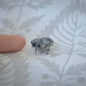 Little Spider, Cute Micro Spider, Neele Felted Dollhouse Miniature ...