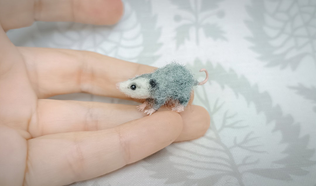 Baby Possum Tiny Animal Dollhouse Miniature Felted Wool Sculpture - Etsy