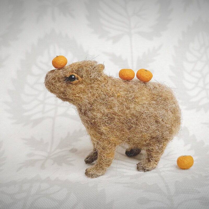 HromovFelts - Etsy Canada