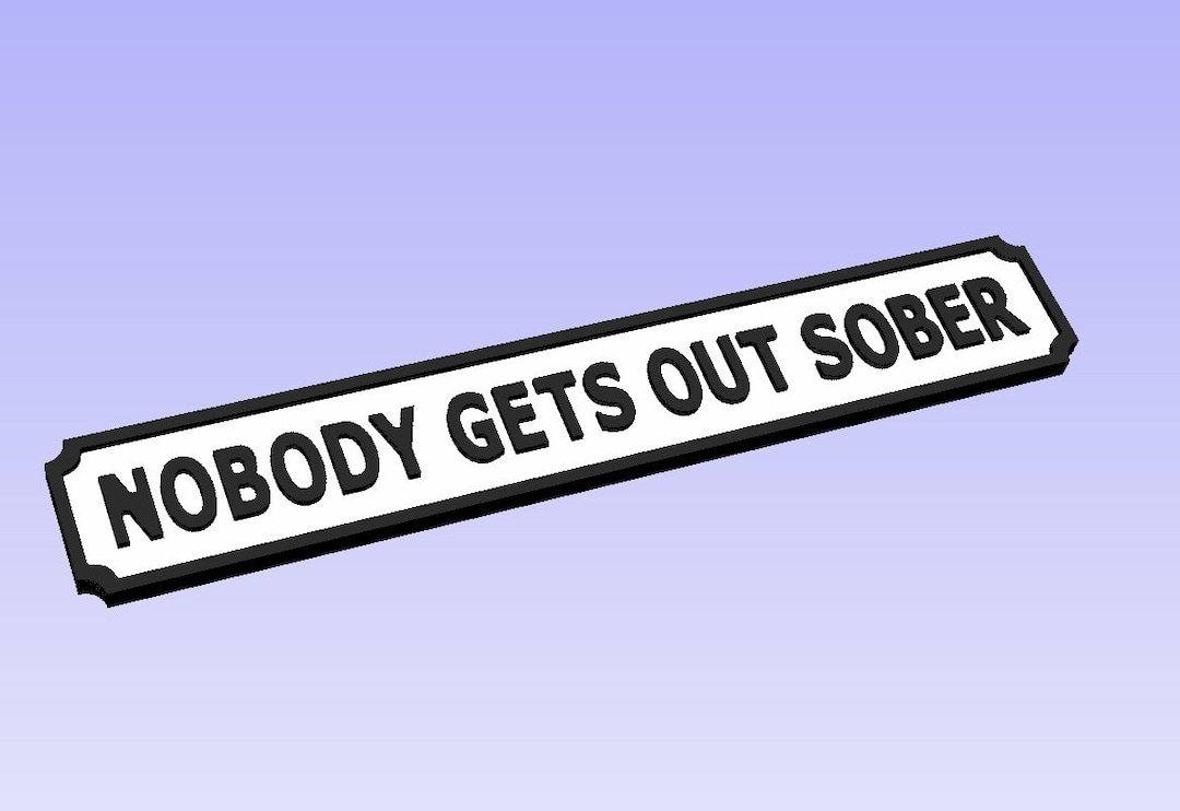 Nobody Gets Out Sober Sign Replica Vintage Street Sign - Etsy