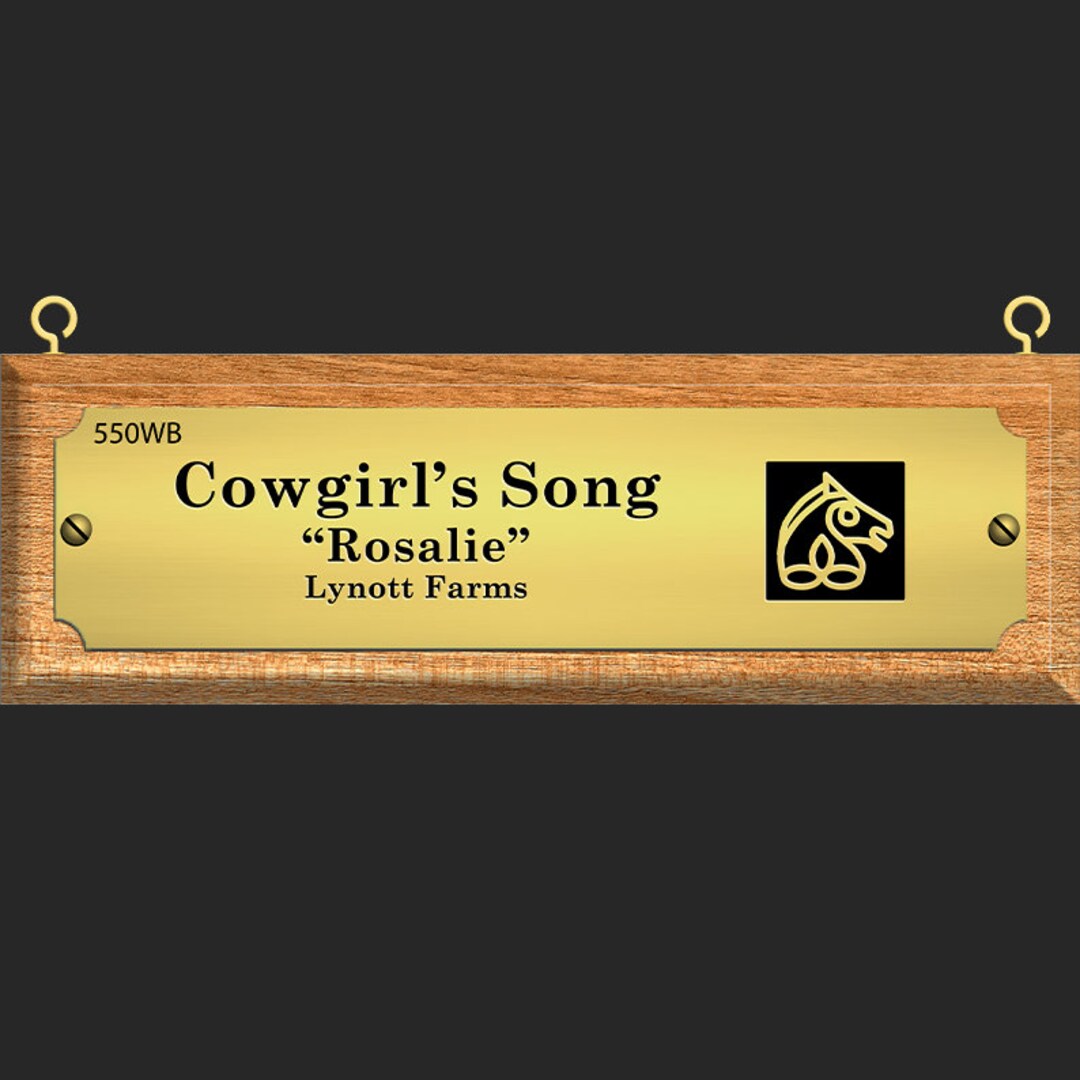 Custom Made to Order Brass Personalized Horse Stall Plate 2" X 8# With ...