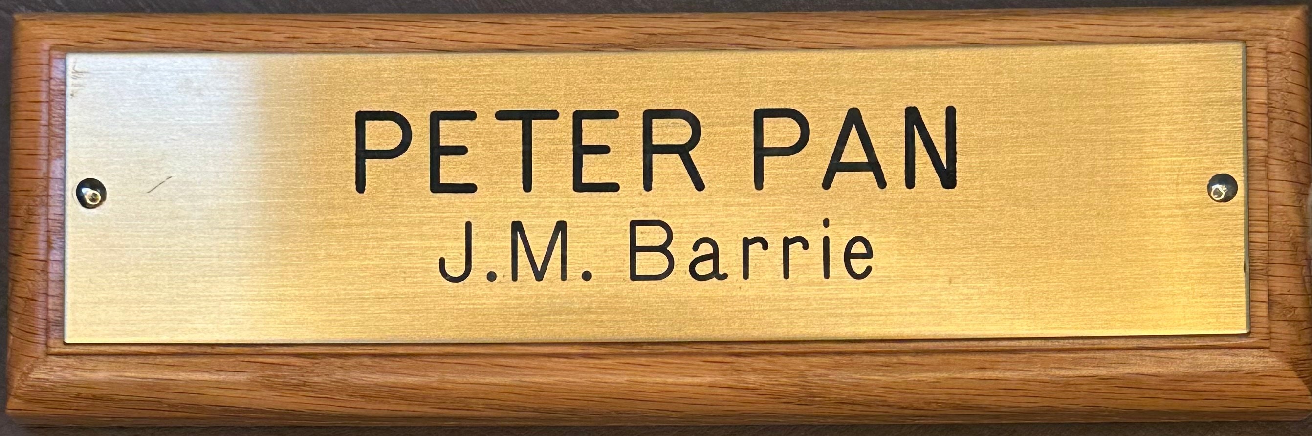 Custom Made to Order Brass Personalized Horse Stall Plate 2" X 8# With ...