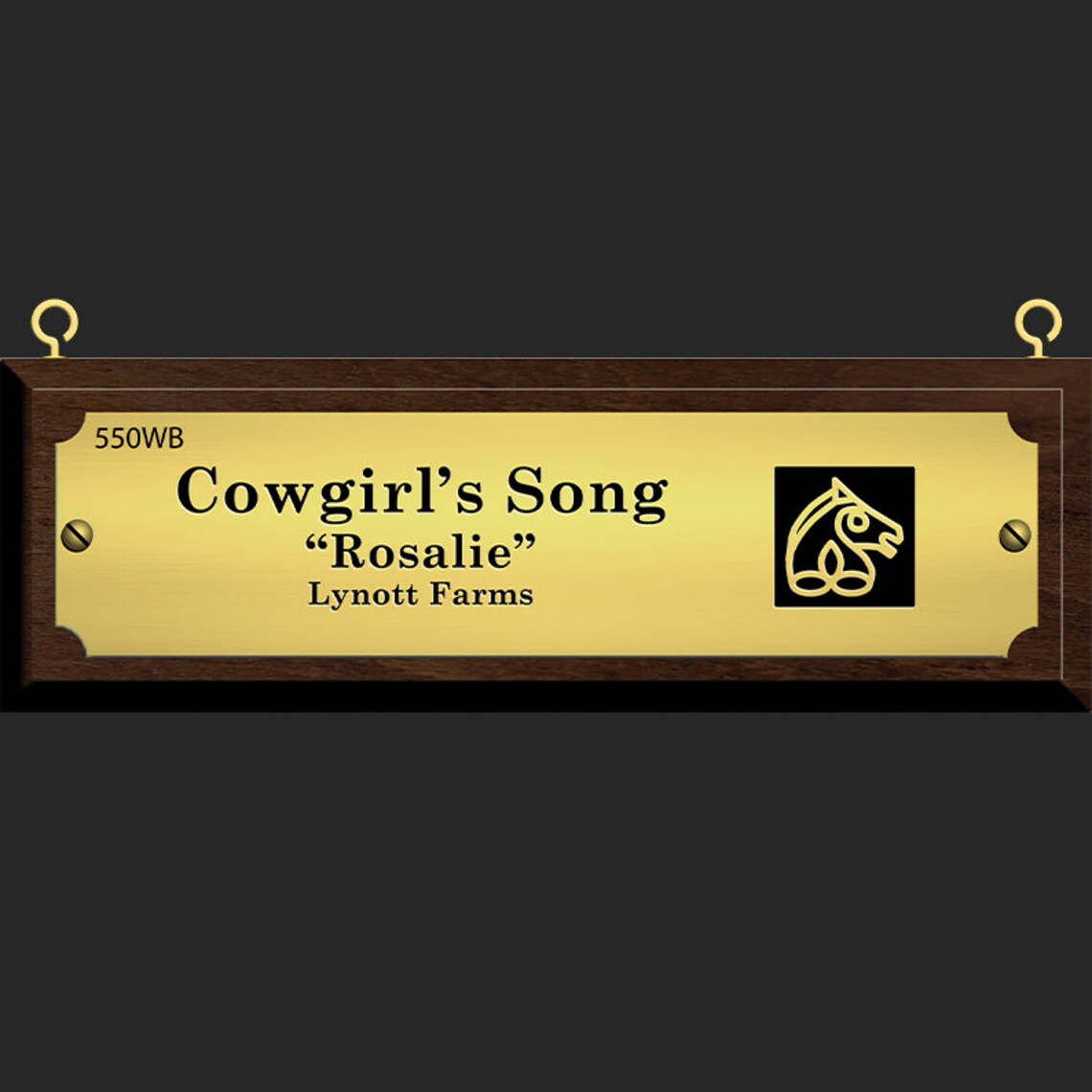 Custom Made to Order Brass Personalized Horse Stall Plate 2" X 8# With ...