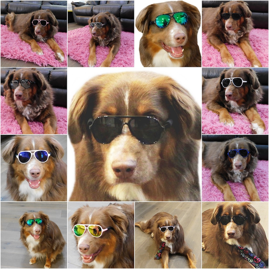 2-pack Dog Pet Aviator Sunglasses Pilot Turbo Retro Goggle Glasses ...