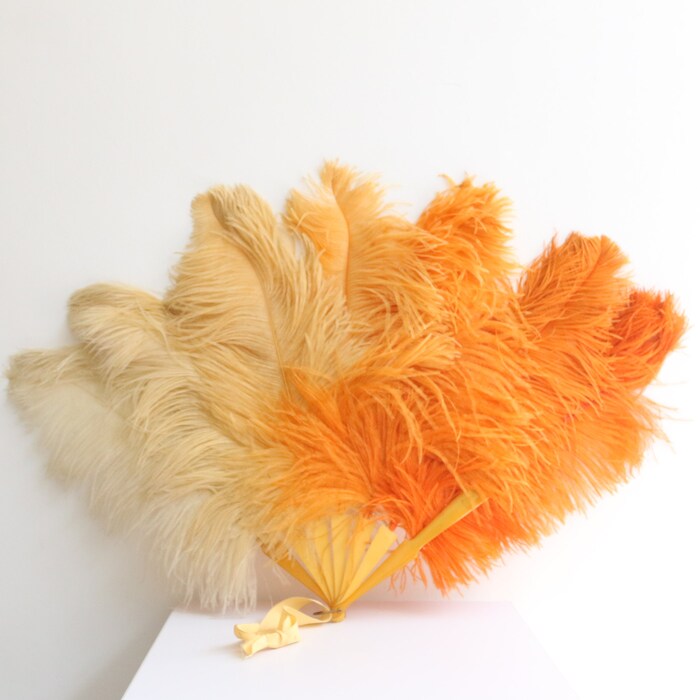 Ostrich Fan - Etsy