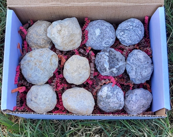 Set of Twelve MINI 1 Break Your Own Geodes Gift Box Gift Set Crystal ...