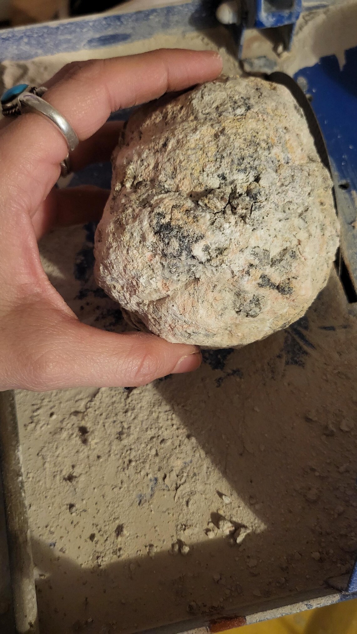 XL Tracas Geode From Mexico Semi Sold Geode Wet Saw Lapidary Rocks ...