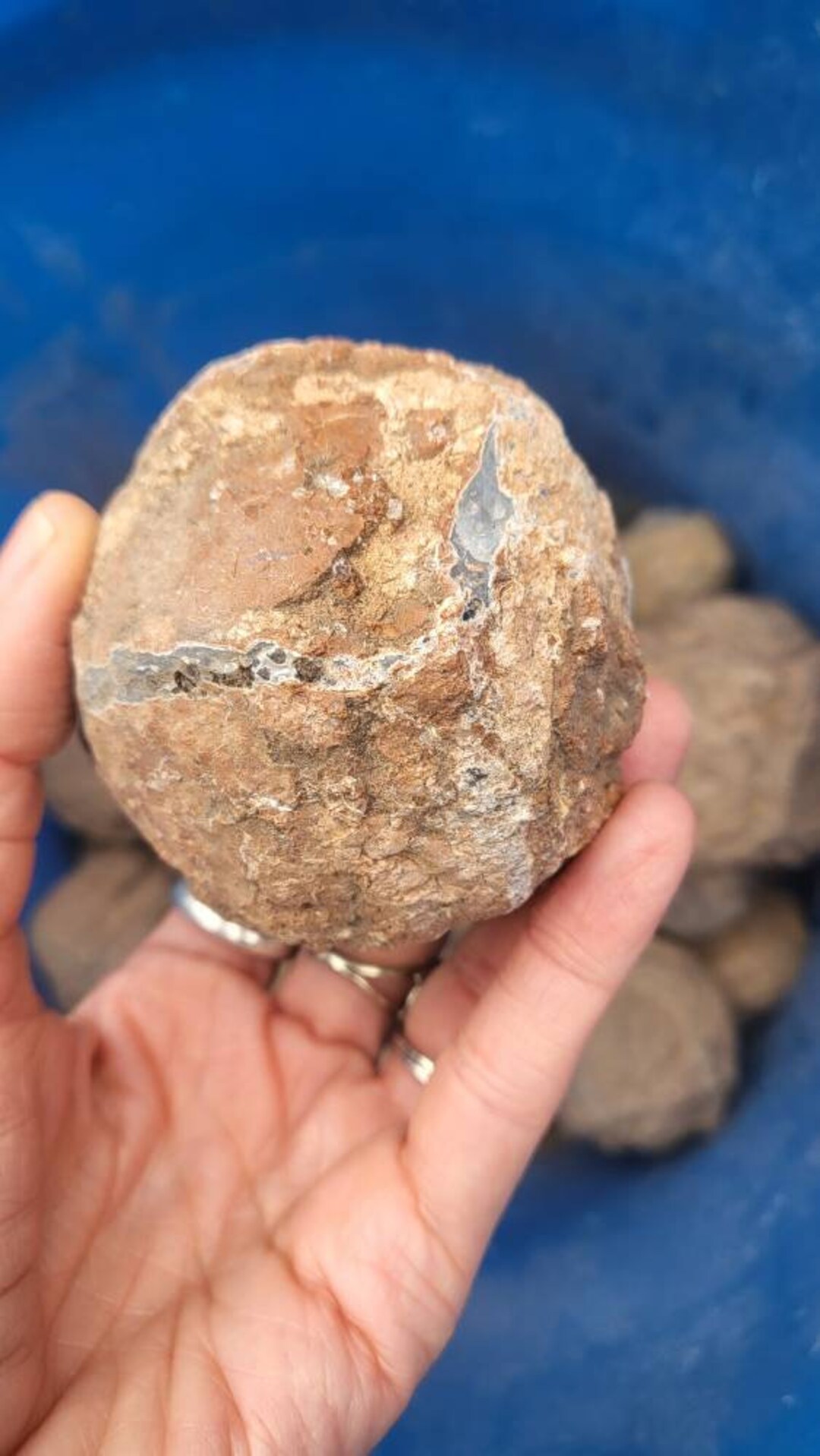 Thunder Egg Geode Unopened Thunder Egg Geode Break Your Own Geode Rocks ...