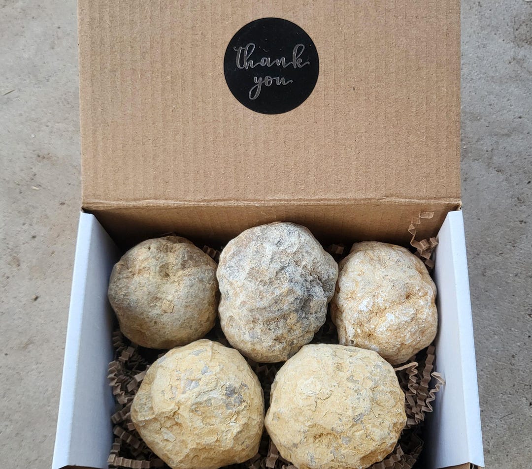 Cut Break Your Own Geodes Gift Box Set of Five MEDIUM Unopened Geodes ...