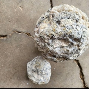 JUMBO Trancas Geode Geode Rare Geode Large Break Your Own Geode ...
