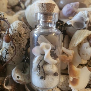Beach in a Bottle Beach in a Jar Wishing Jar Beachy Gift Souvenirs ...