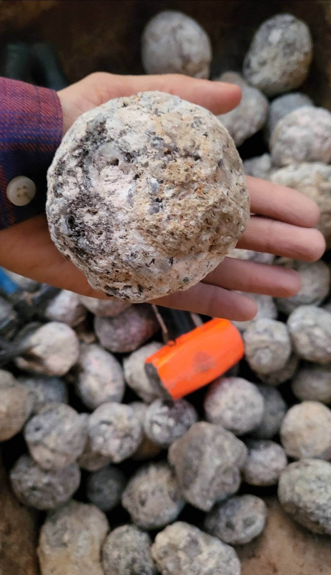 Large Rare Unopened Trancas Geode Large Unopened Geode Specimen From ...