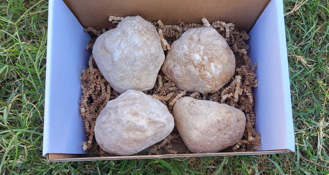 Cut Break Your Own Geodes Set of Four Medium Size 2-3 Inch Unopened ...
