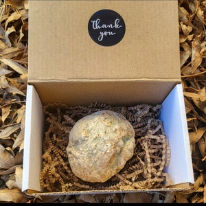 Crystal Canyon Break Your Own Geode Geodes Crystals Lapidary Rocks ...