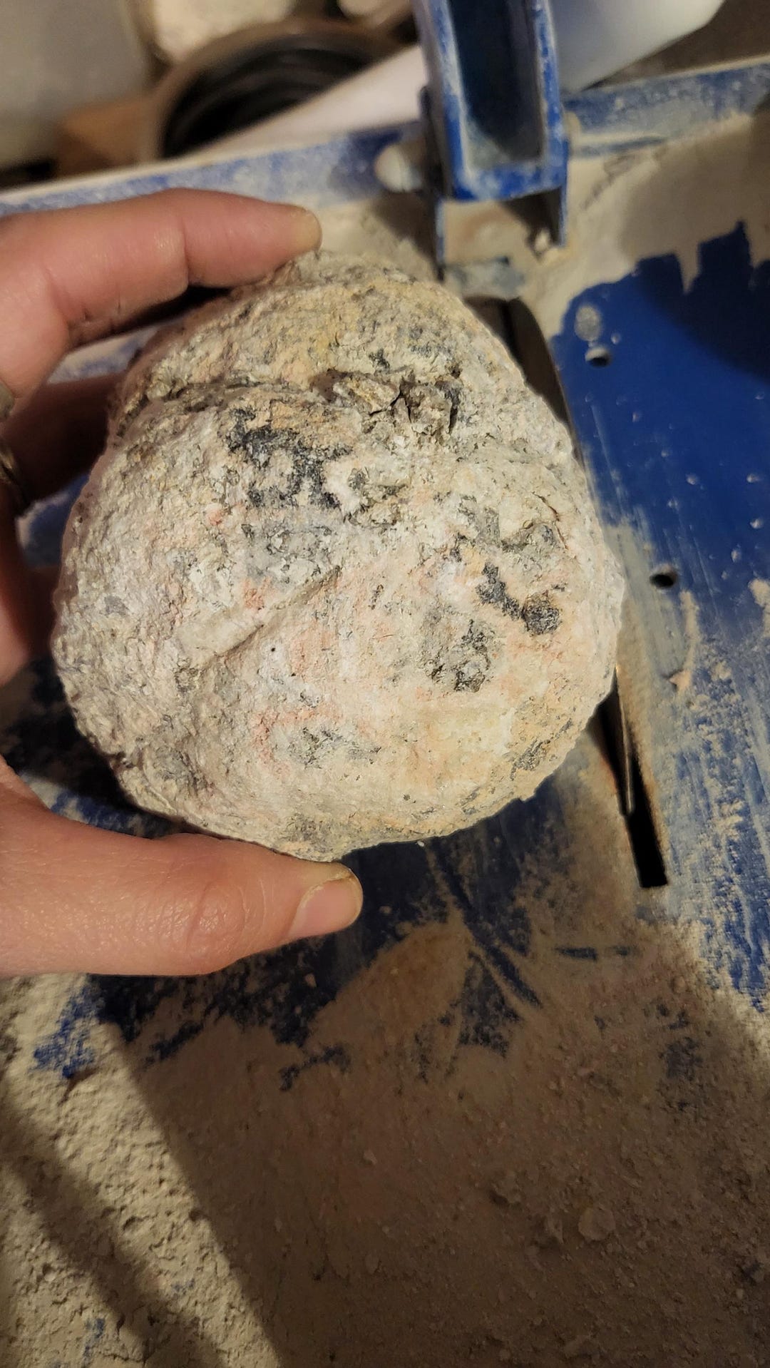 XL Tracas Geode From Mexico Semi Sold Geode Wet Saw Lapidary Rocks ...