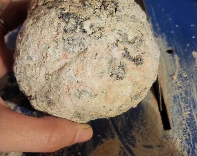 XL Tracas Geode From Mexico Semi Sold Geode Wet Saw Lapidary Rocks ...