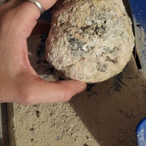 XL Tracas Geode From Mexico Semi Sold Geode Wet Saw Lapidary Rocks ...