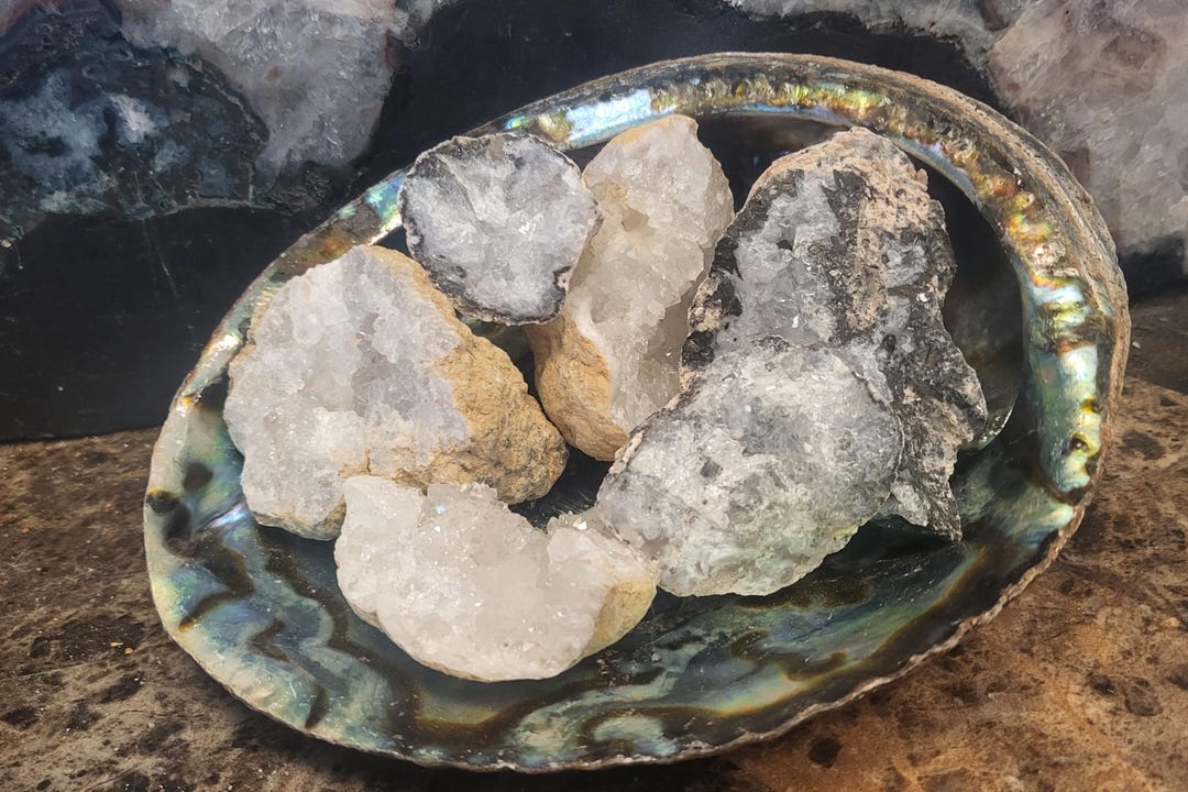 Abalone Shell Cluster Kit Crystal Quartz Trancas Geodes Mistery Mix of ...