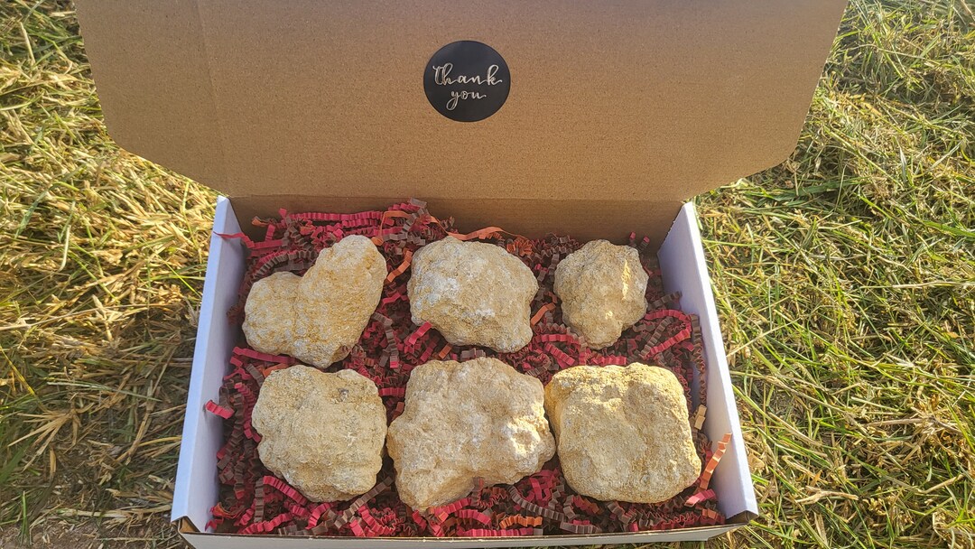 Set of Six Medium Size Geodes Break Your Own Geodes Geode Gift Set Gift ...