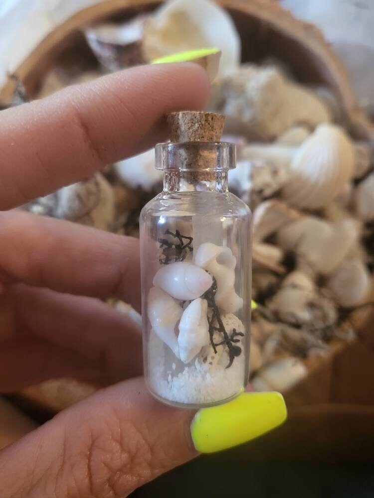 Beach in a Bottle Beach in a Jar Wishing Jar Beachy Gift Souvenirs ...