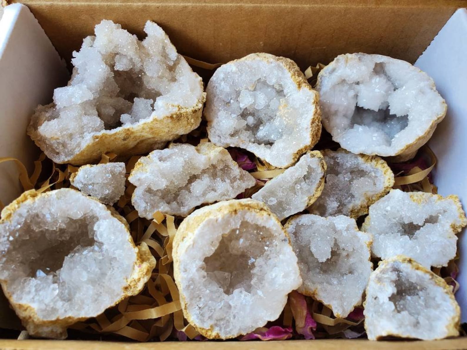 Break Your Own Geodes Gift Box Set of Five SMALL 1.5" Unopened Geodes ...