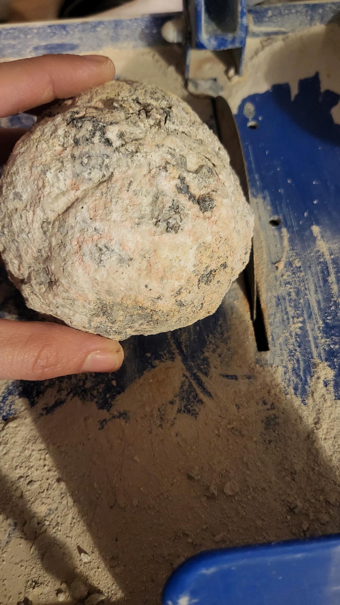 XL Tracas Geode From Mexico Semi Sold Geode Wet Saw Lapidary Rocks ...