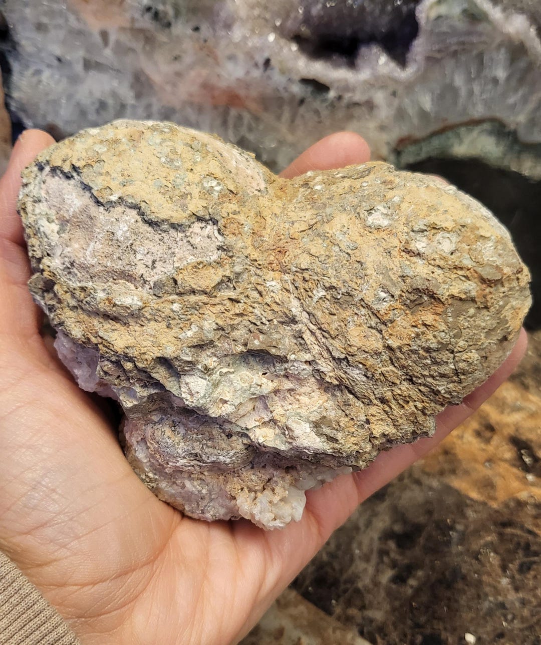 Heart Shaped Geode Trancas Geode Break Your Own Geode Rocks Specimen ...