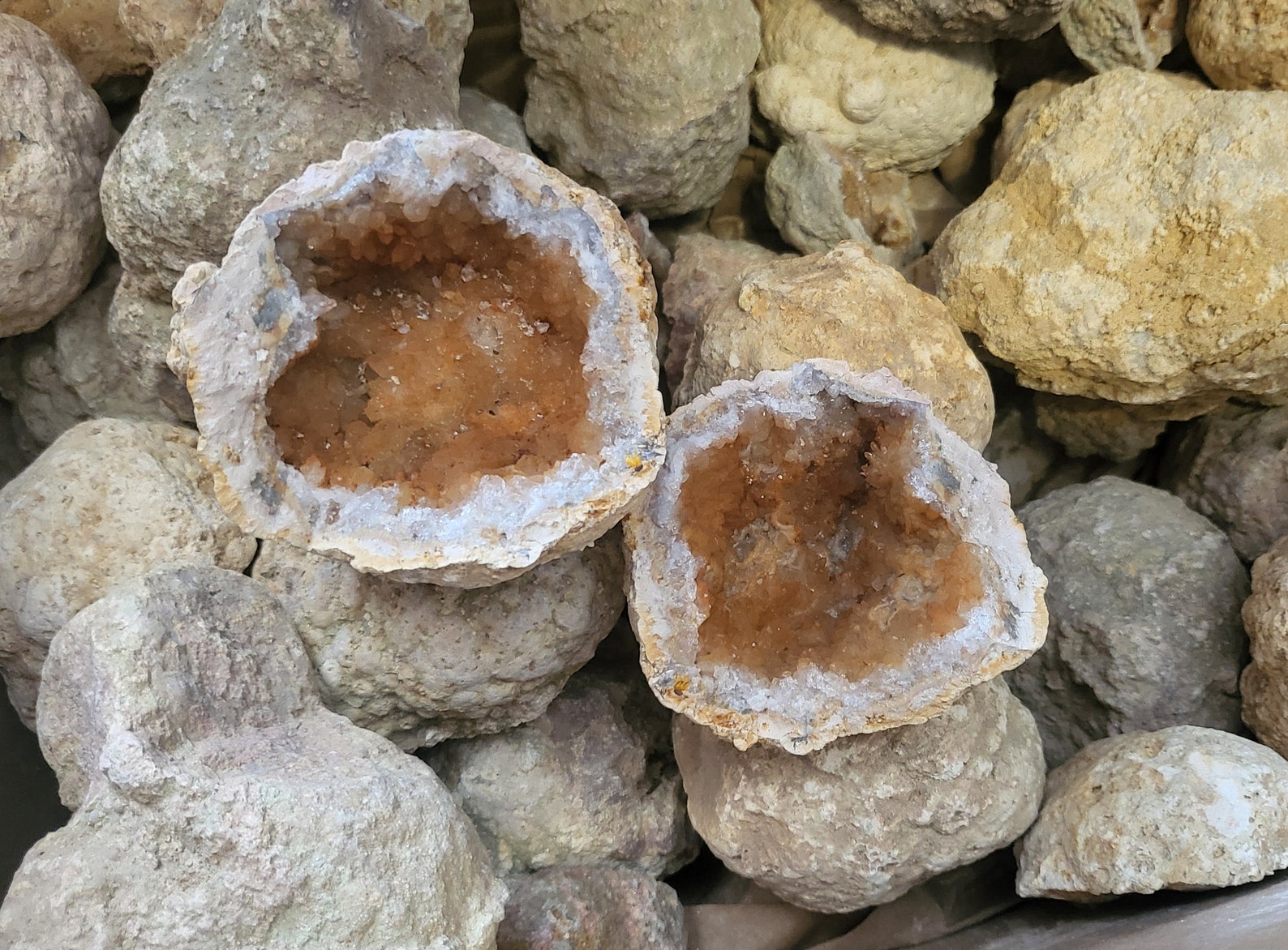 Crystal Canyon Break Your Own Geode Geodes Crystals Lapidary Rocks ...