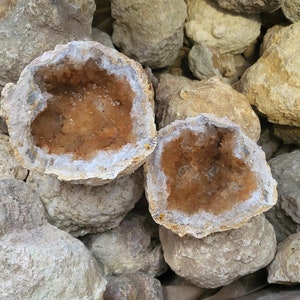 Crystal Canyon Break Your Own Geode Geodes Crystals Lapidary Rocks ...