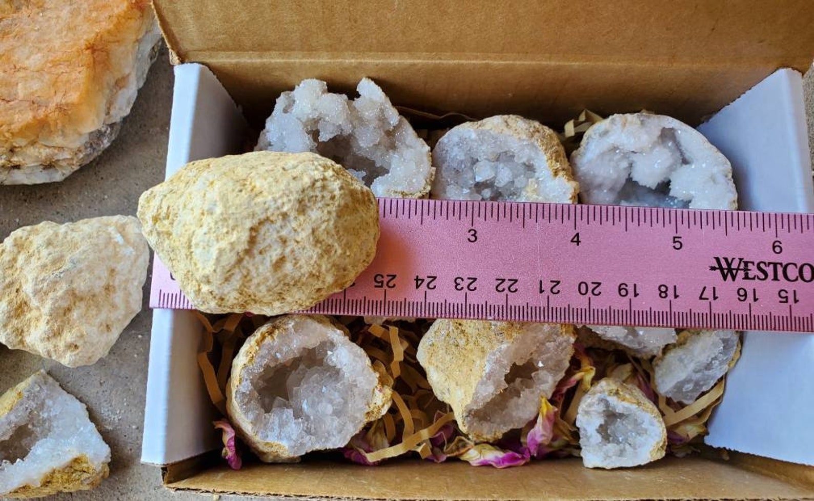 Break Your Own Geodes Gift Box Set of Five SMALL 1.5" Unopened Geodes ...