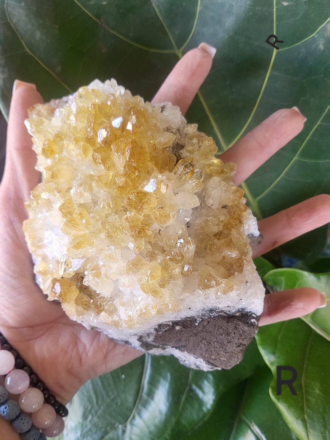 Large Citrine Cluster Crystals Geode Raw Stone Specimen Gift Rocks ...