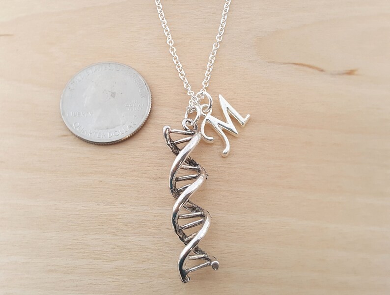 DNA Necklace - DNA Charm - DNA Strand Necklace - Biology - Personalized ...