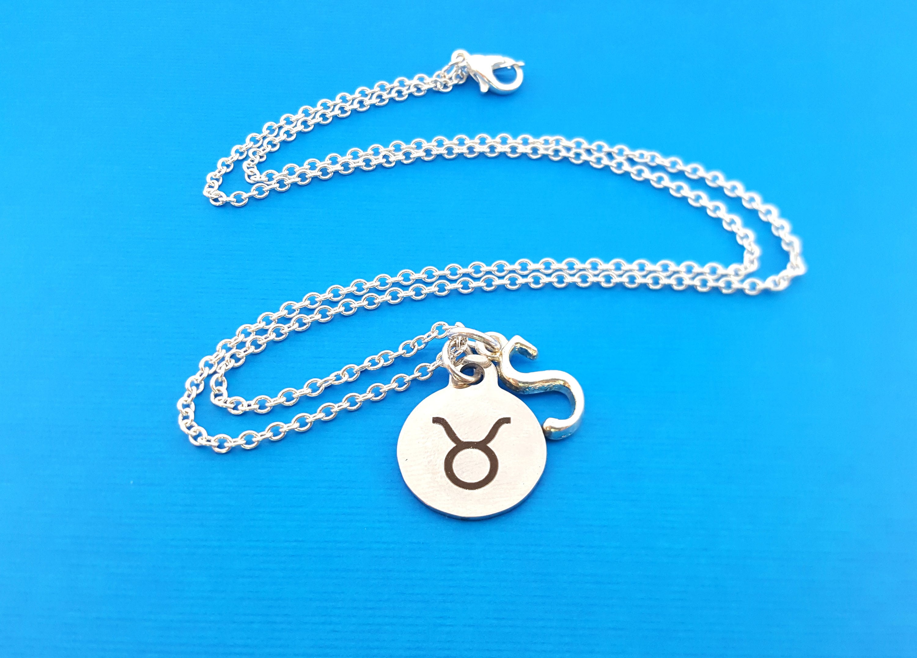 Taurus Necklace Zodiac Signs Zodiac Charm Inspiration | Etsy