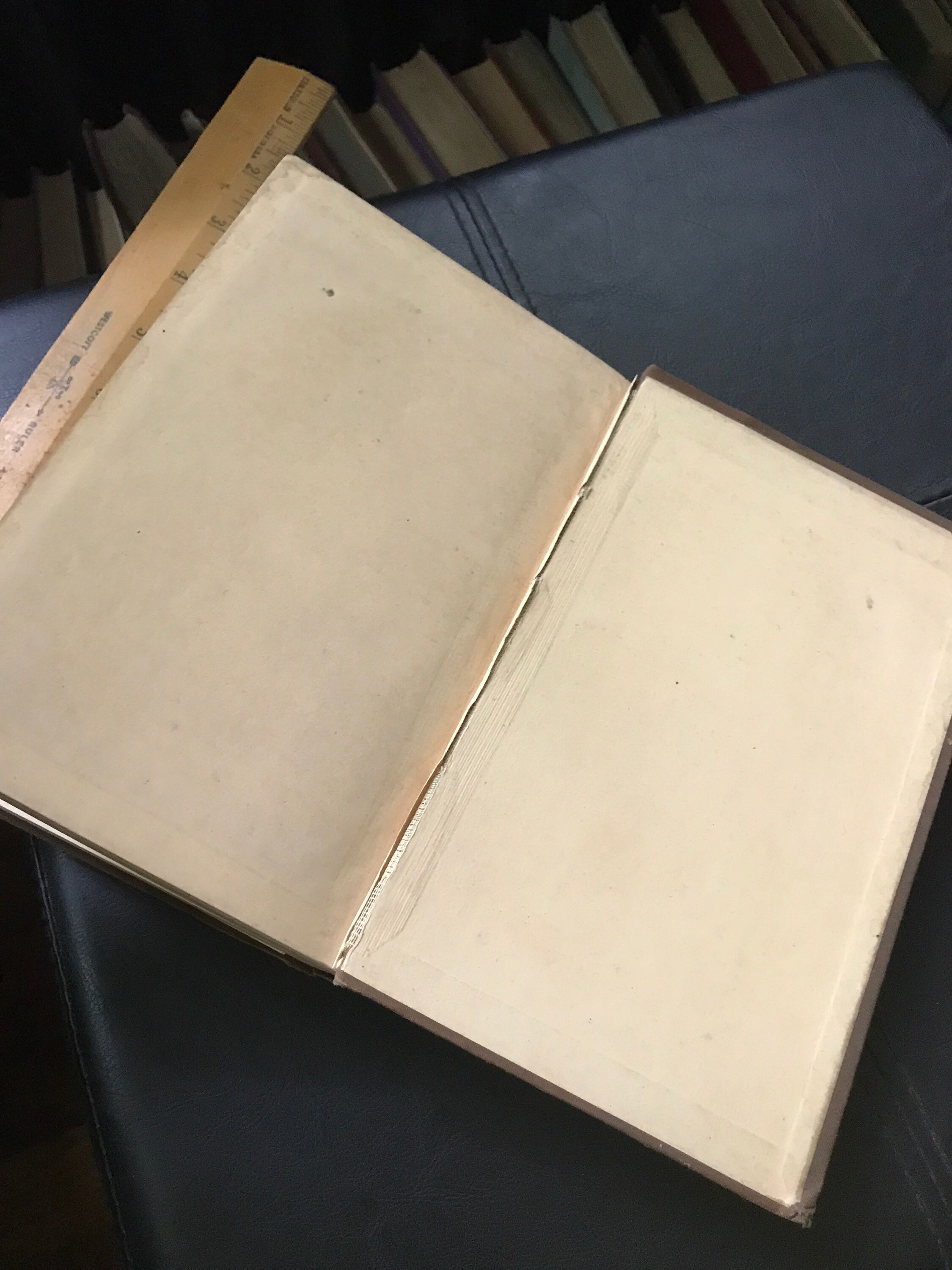 Swiss Letters and Alpine Poems Frances Ridley Havergal 1881 - Etsy