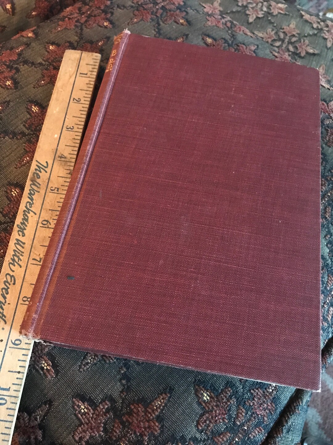 Expositions of Holy Scripture Genesis Alexander - Etsy