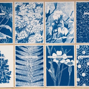 Cyanotype Stencils, Cyanotype Kit Just Stencils, Cyanotype Greeting ...