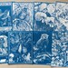 Cyanotype Stencils, Diy Craft, Cyanotype Kit Just Stencils, Cyanotype ...