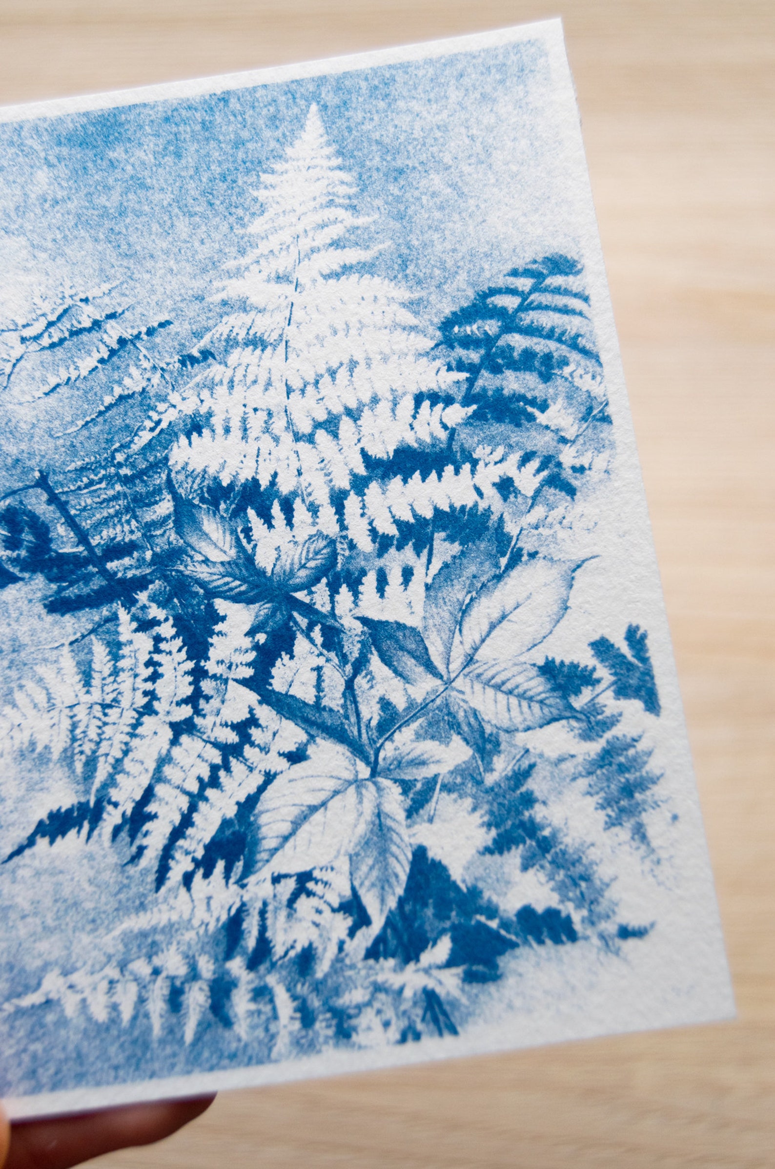 Botanical Art Cyanotype Stencils | Floral Sun Print Negatives | Nature ...