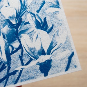 Cyanotype Stencils, Cyanotype Kit Just Stencils, Diy Crafts, Cyanotype ...