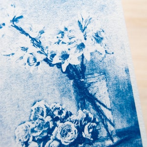 Cyanotype Stencils, Cyanotype Kit Just Stencils, Diy Crafts, Cyanotype ...